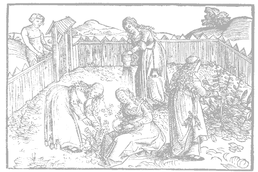 Der Hortulus des Walahfrid Strabo